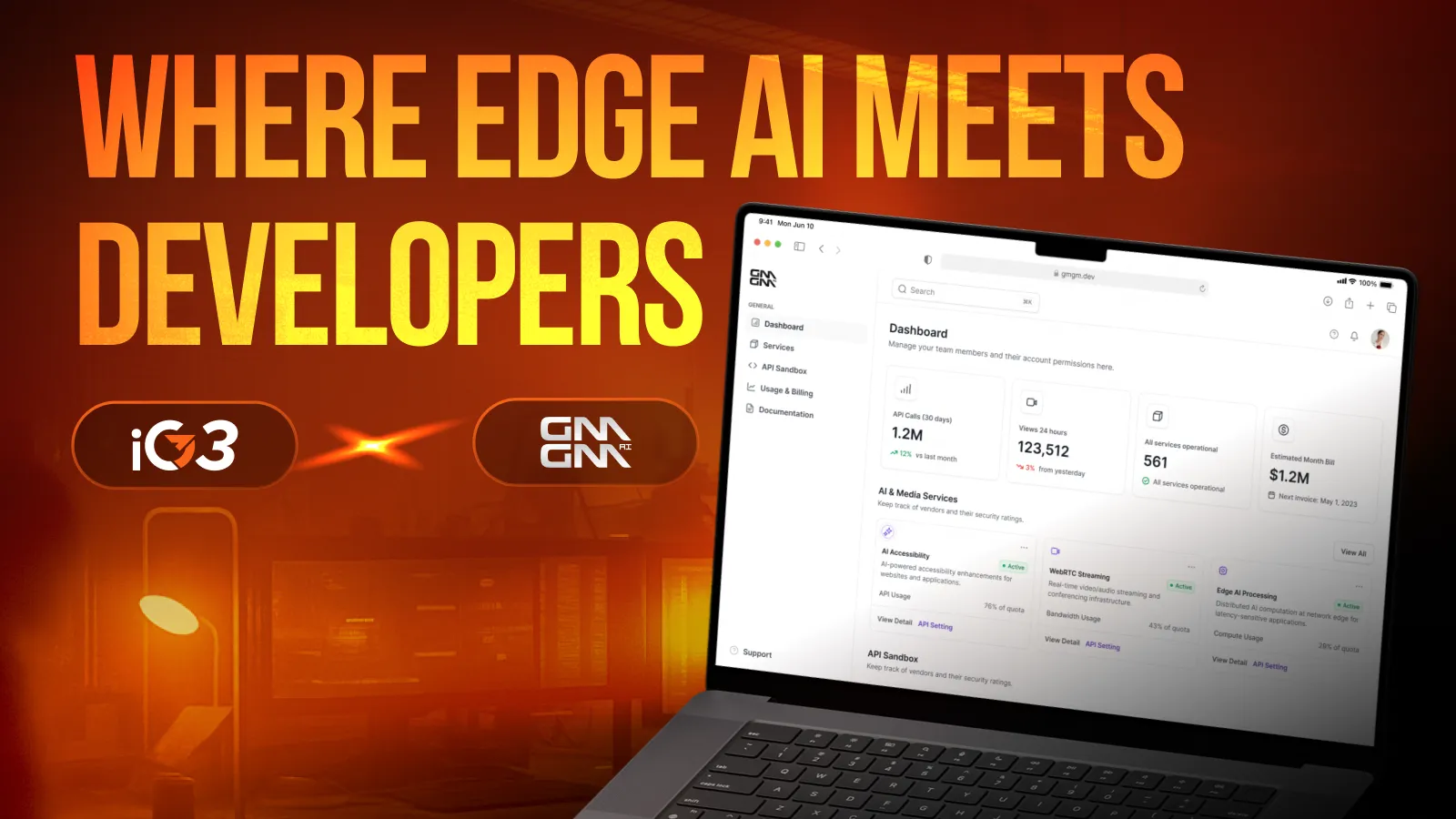 Introducing ig3: Revolutionizing AI Access with Edge Network Technology | DePIN Hub