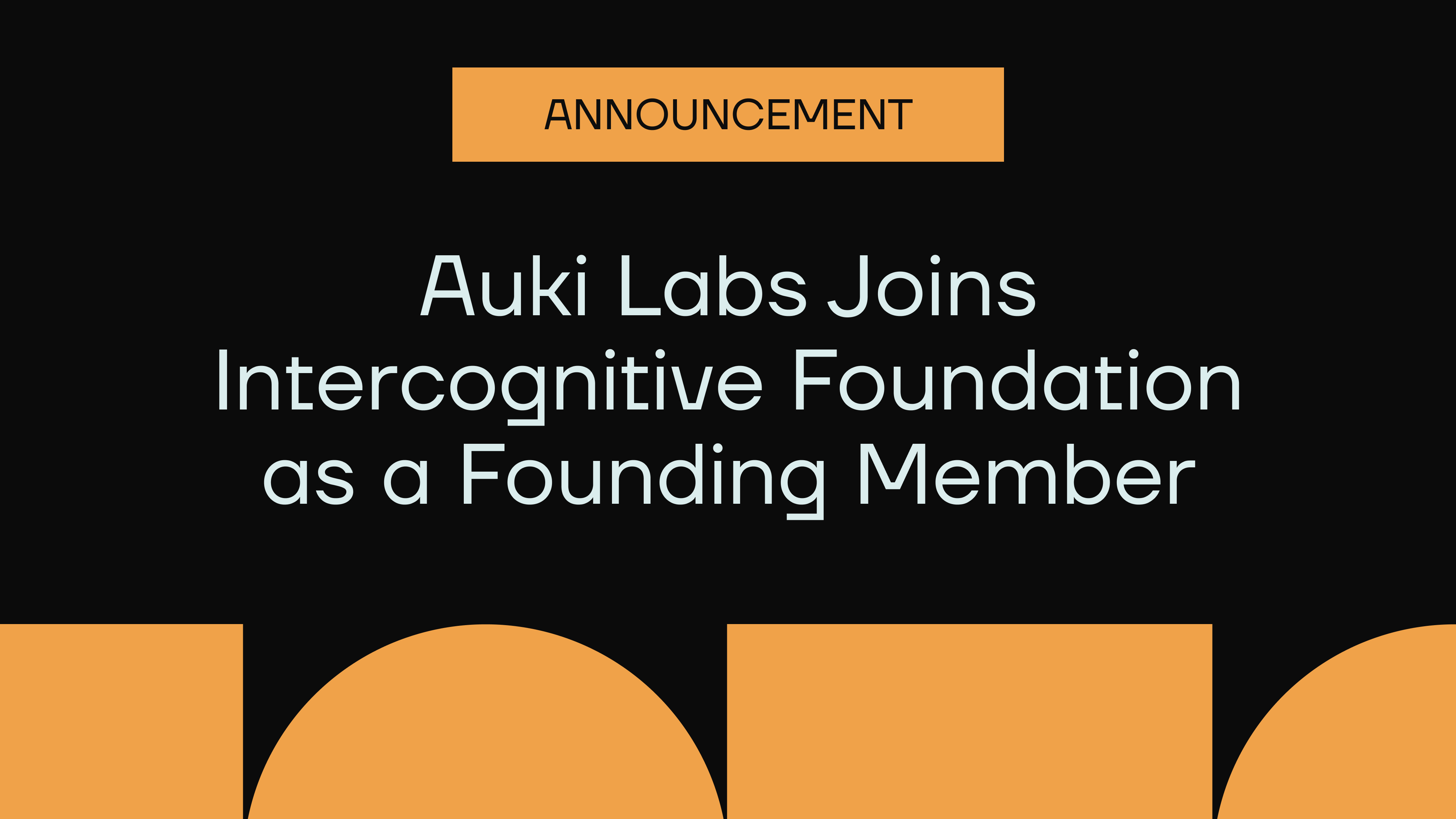 Auki-Network: Building the Future of Spatial Computing and Physical AI | DePIN Hub