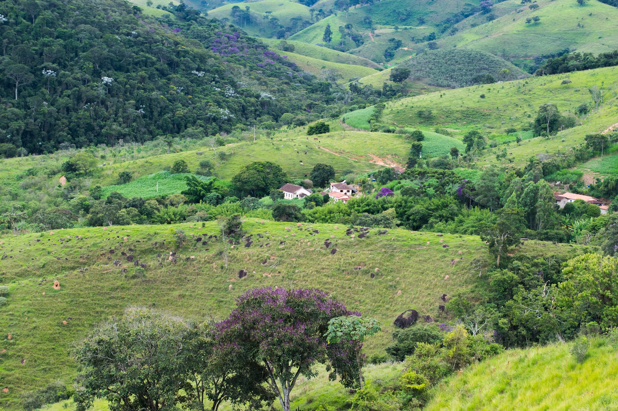 Althea Collaborates with Hub Advanced Networks to Expand Broadband ...