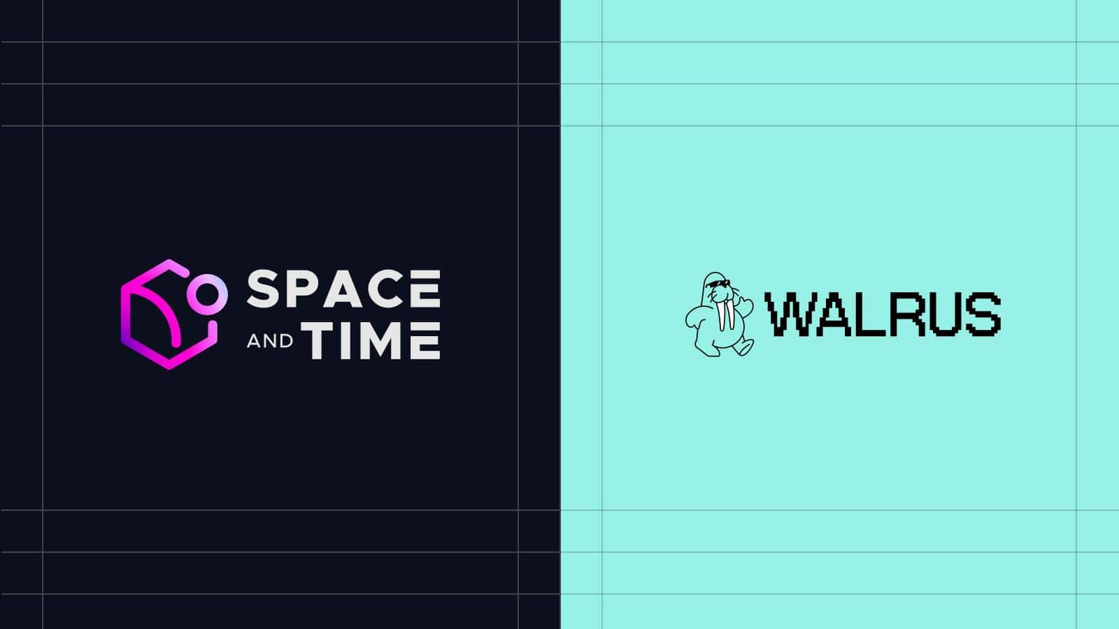 Space and Time Partners with Walrus to Launch Real-Time Insights Dashboard | DePIN Hub